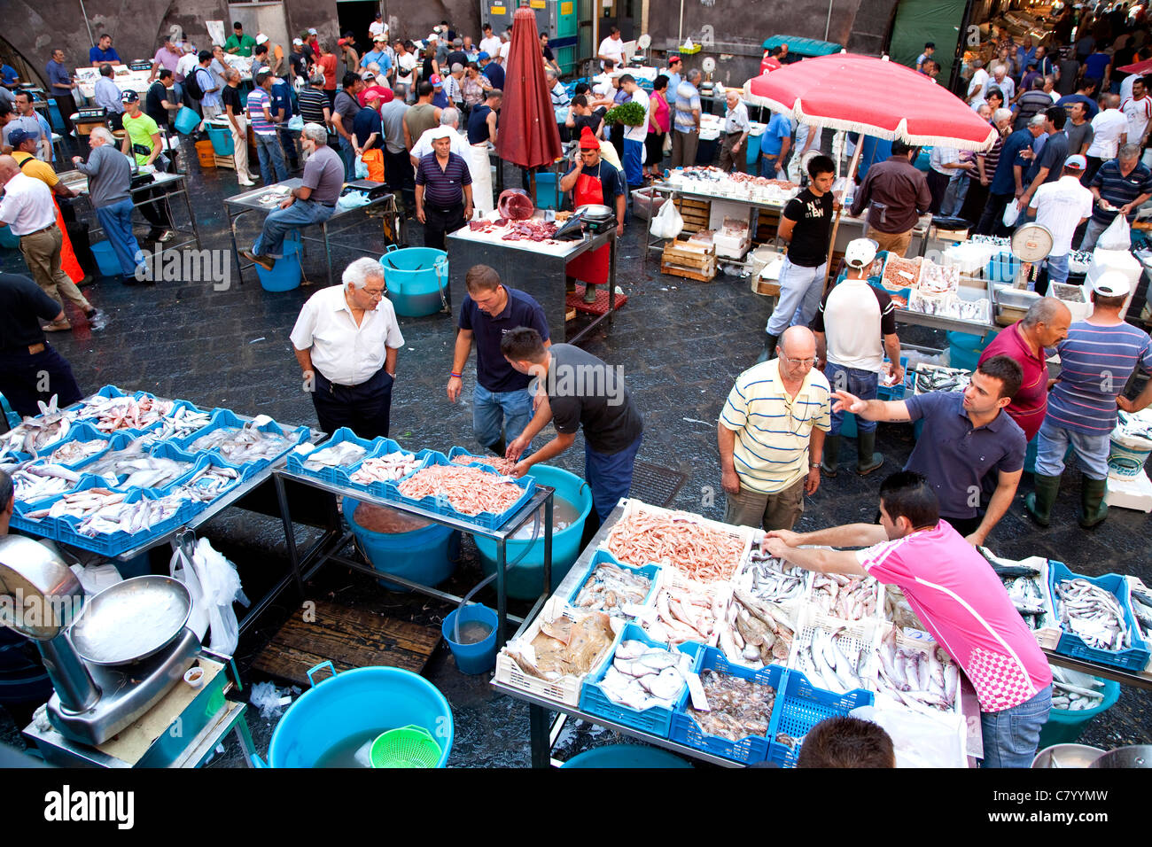 Traditional fish shop selling seafood at old market in Catania, Sicily ...