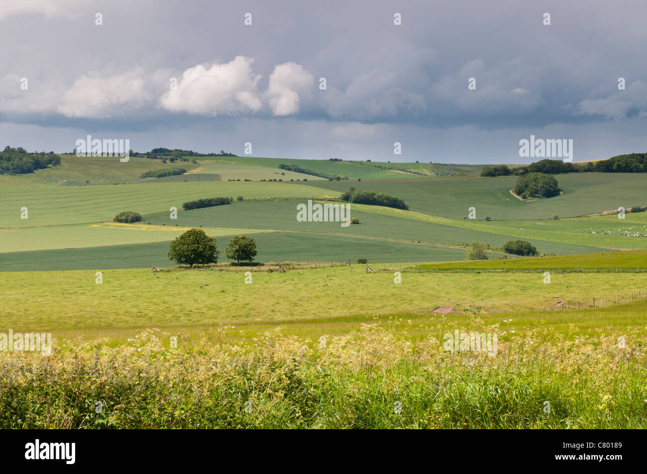 Rural Landscape, Lambourn Downs, Wiltshire, UK Stock Photo - Alamy