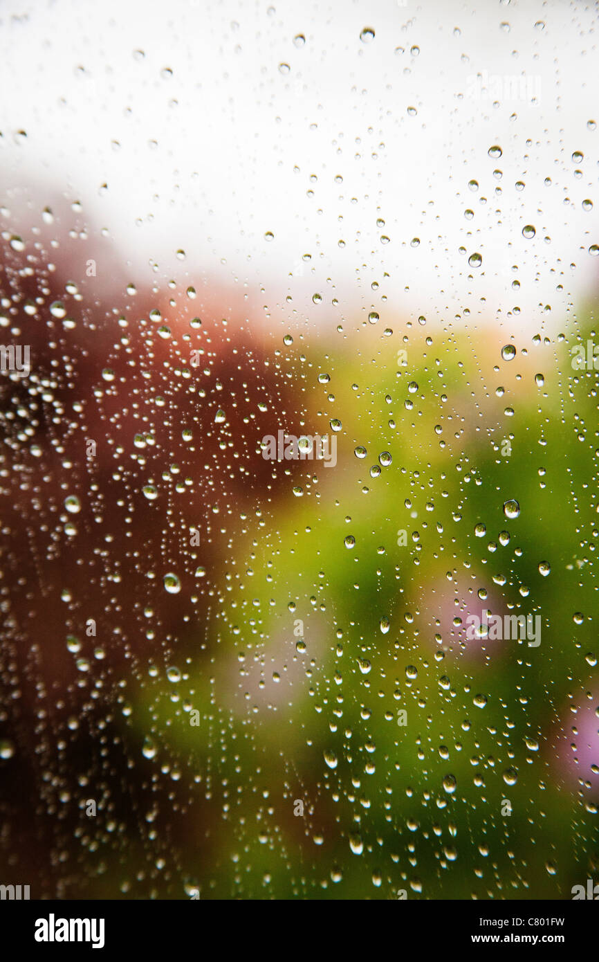 Drops of rain water in a crystal Stock Photo - Alamy