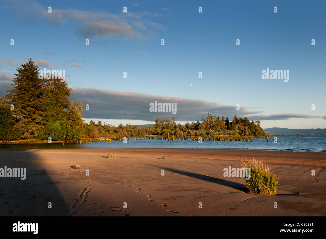 The Columbia River at Skamokawa, Washington, USA Stock Photo - Alamy