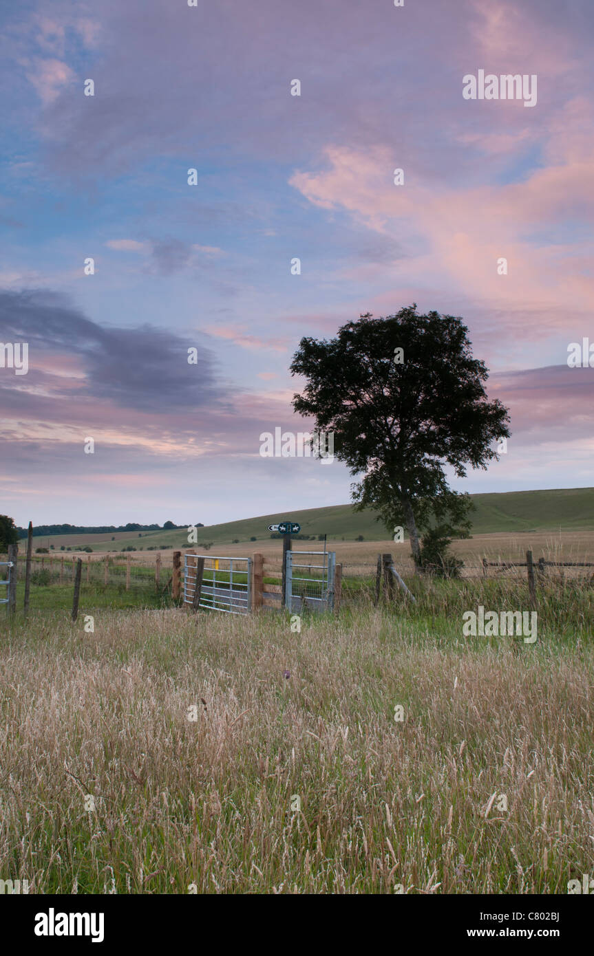 Lone Tree and Gate for Walkers, near Knapp Hill, Wiltshire, UK Stock Photo - Alamy