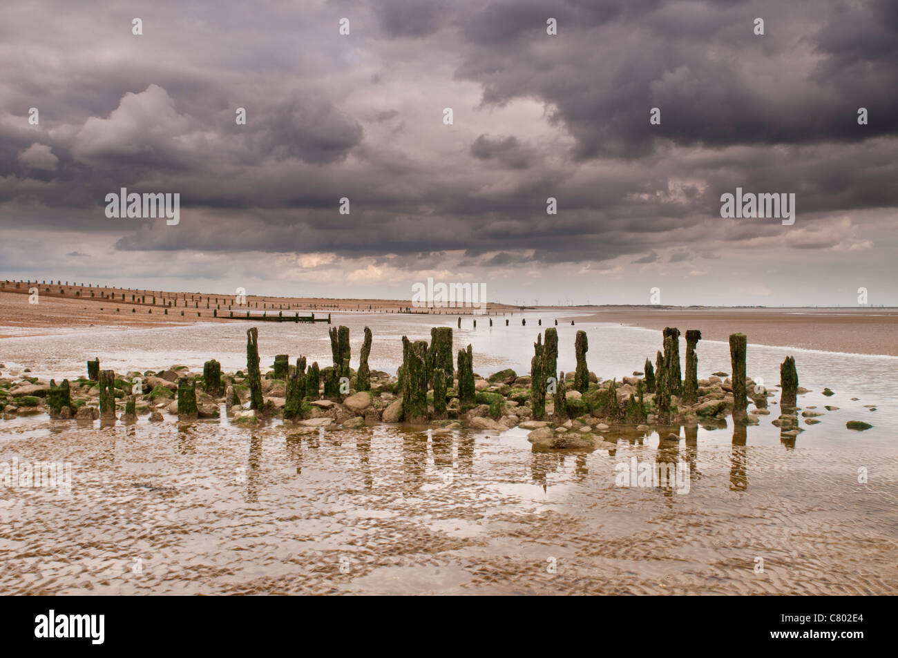 Old rotten groynes hi-res stock photography and images - Alamy