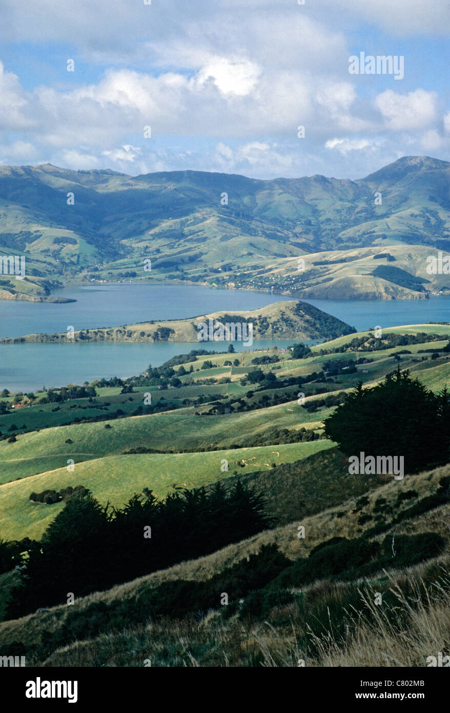 New Zealand, South Island, the countryside Stock Photo - Alamy