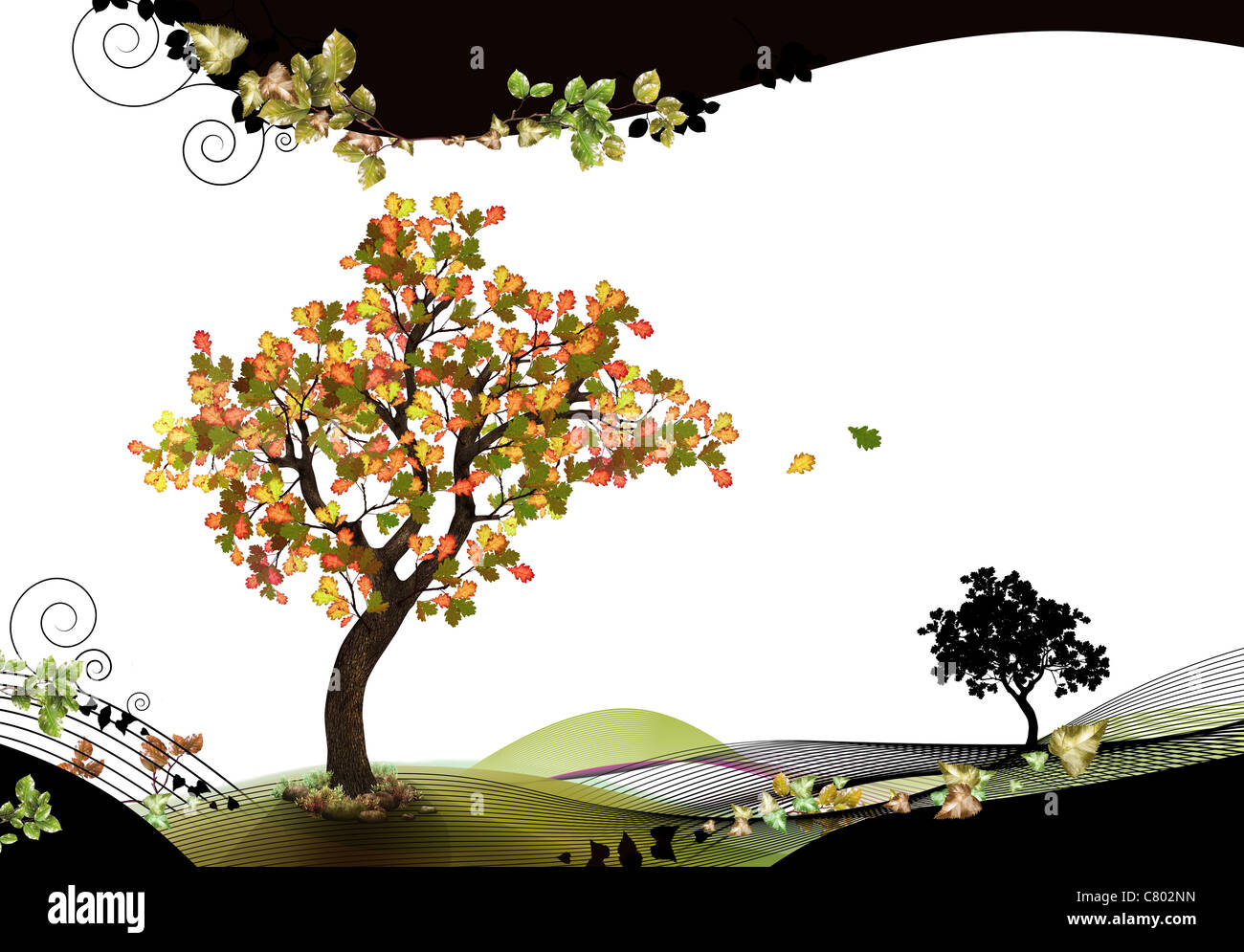 Nature header and footer with beech tree Stock Photo - Alamy