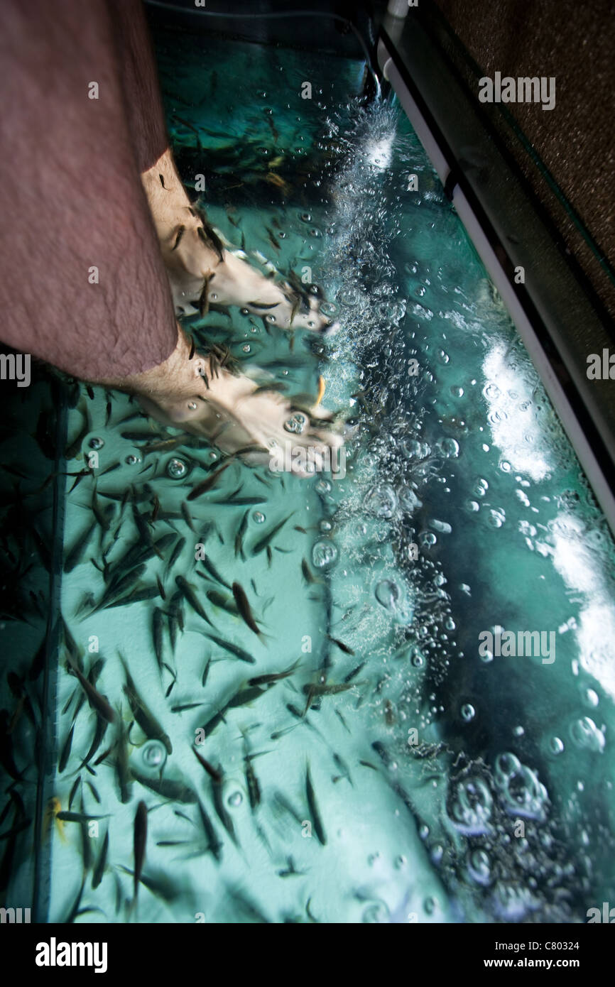 Foot fish hi-res stock photography and images - Alamy