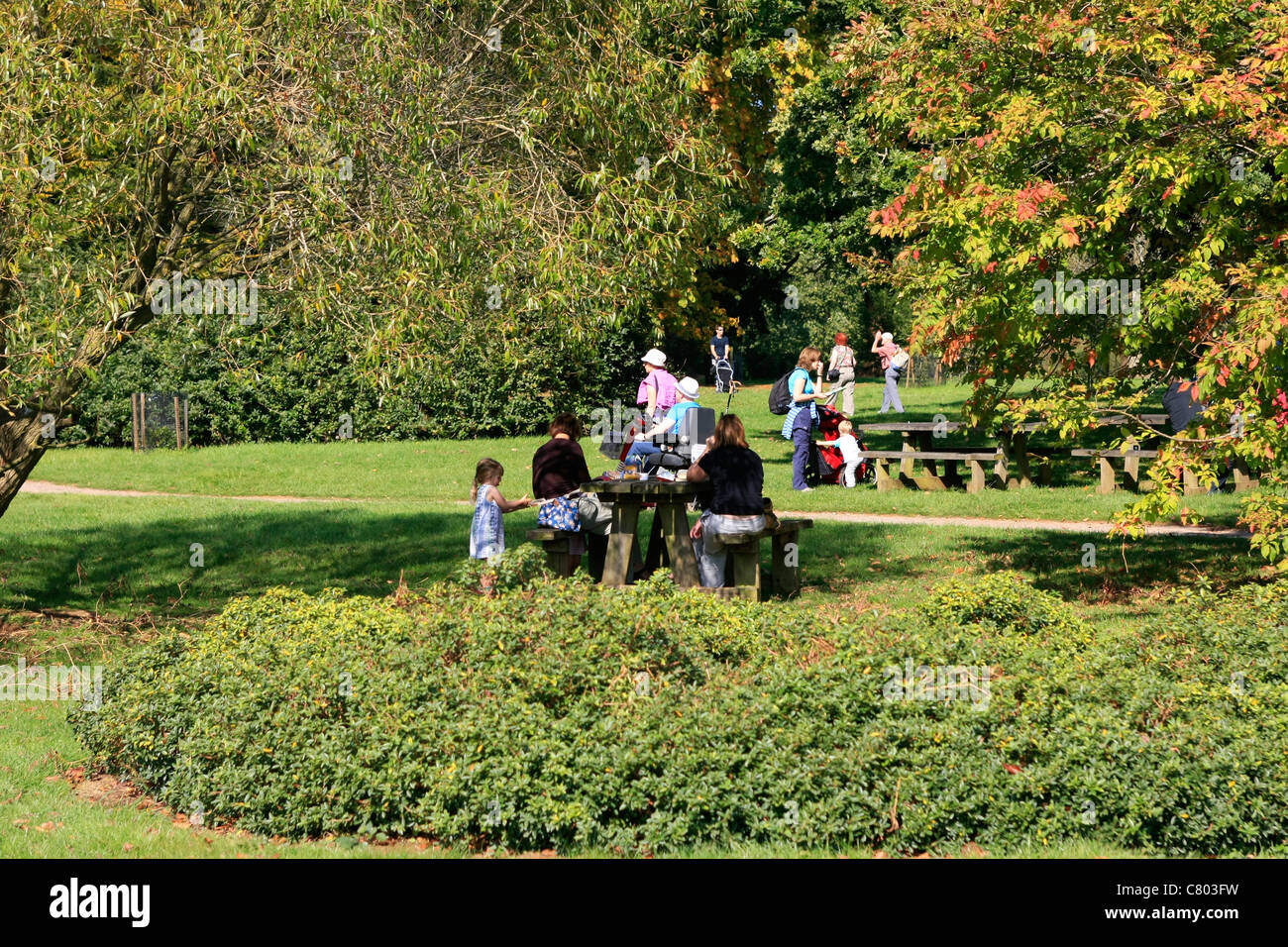 People enjoying a summer lunch at a picnic area in a Park in England ...