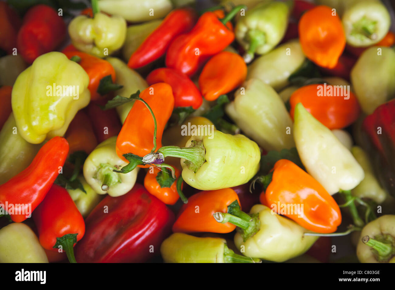 Food, Fresh, Organic Chillies on display in Farmers market Stock Photo ...