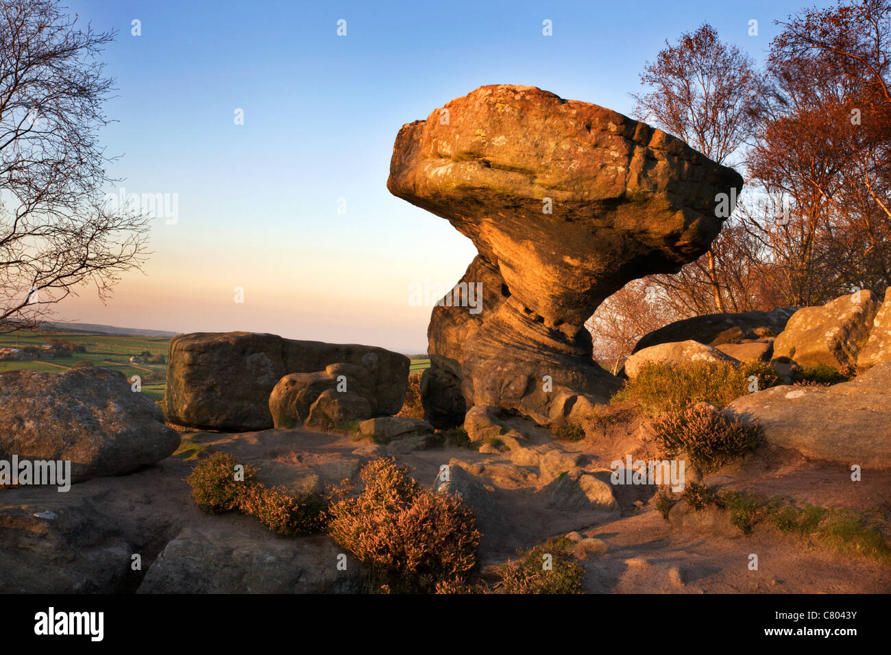 The druids writing desk hi-res stock photography and images - Alamy
