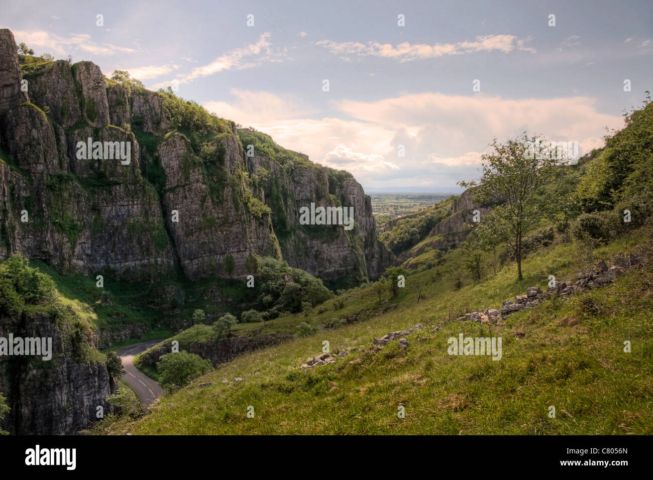 Cheddar gorge hi-res stock photography and images - Alamy