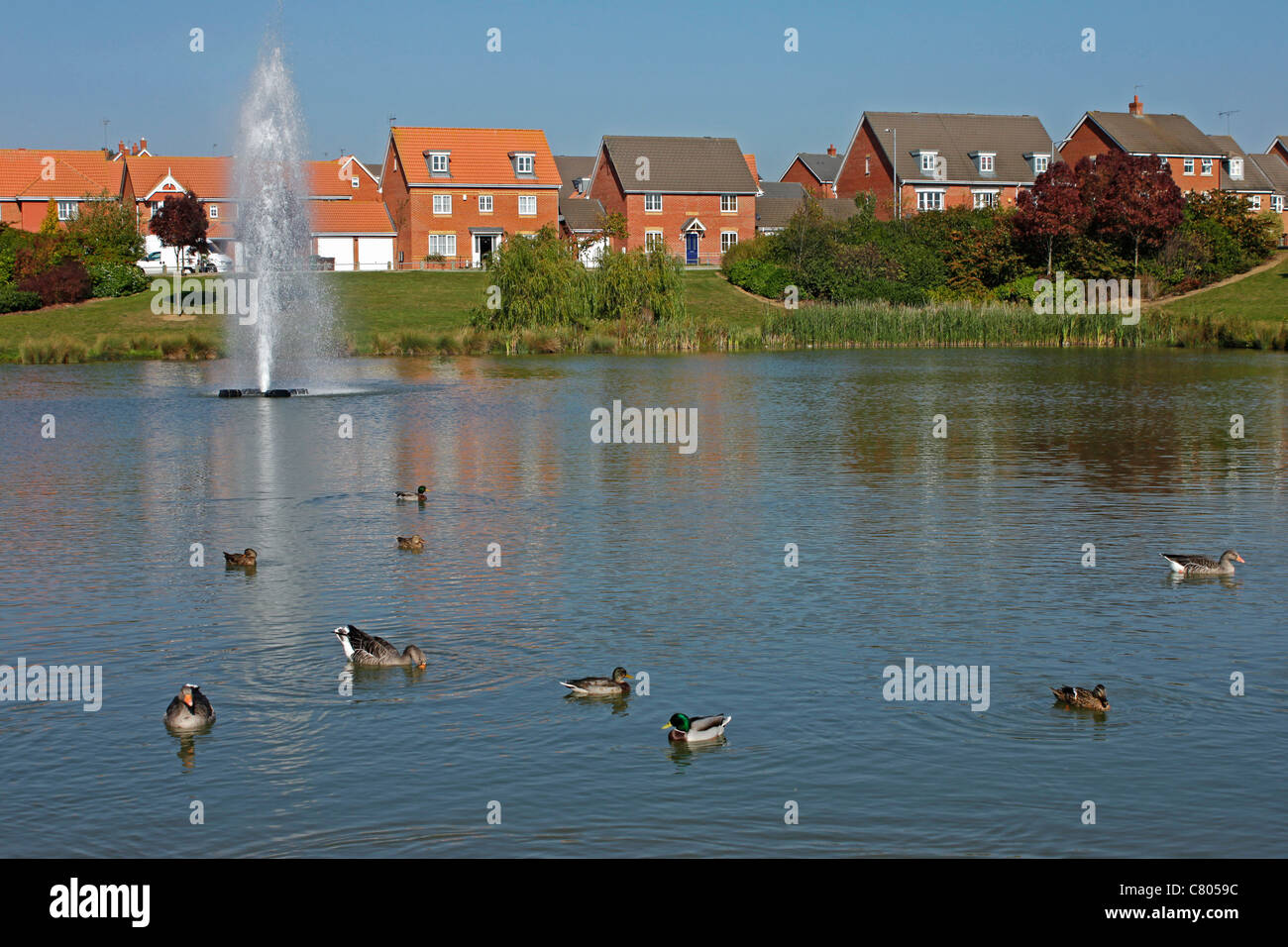 Oakley lake hi-res stock photography and images - Alamy