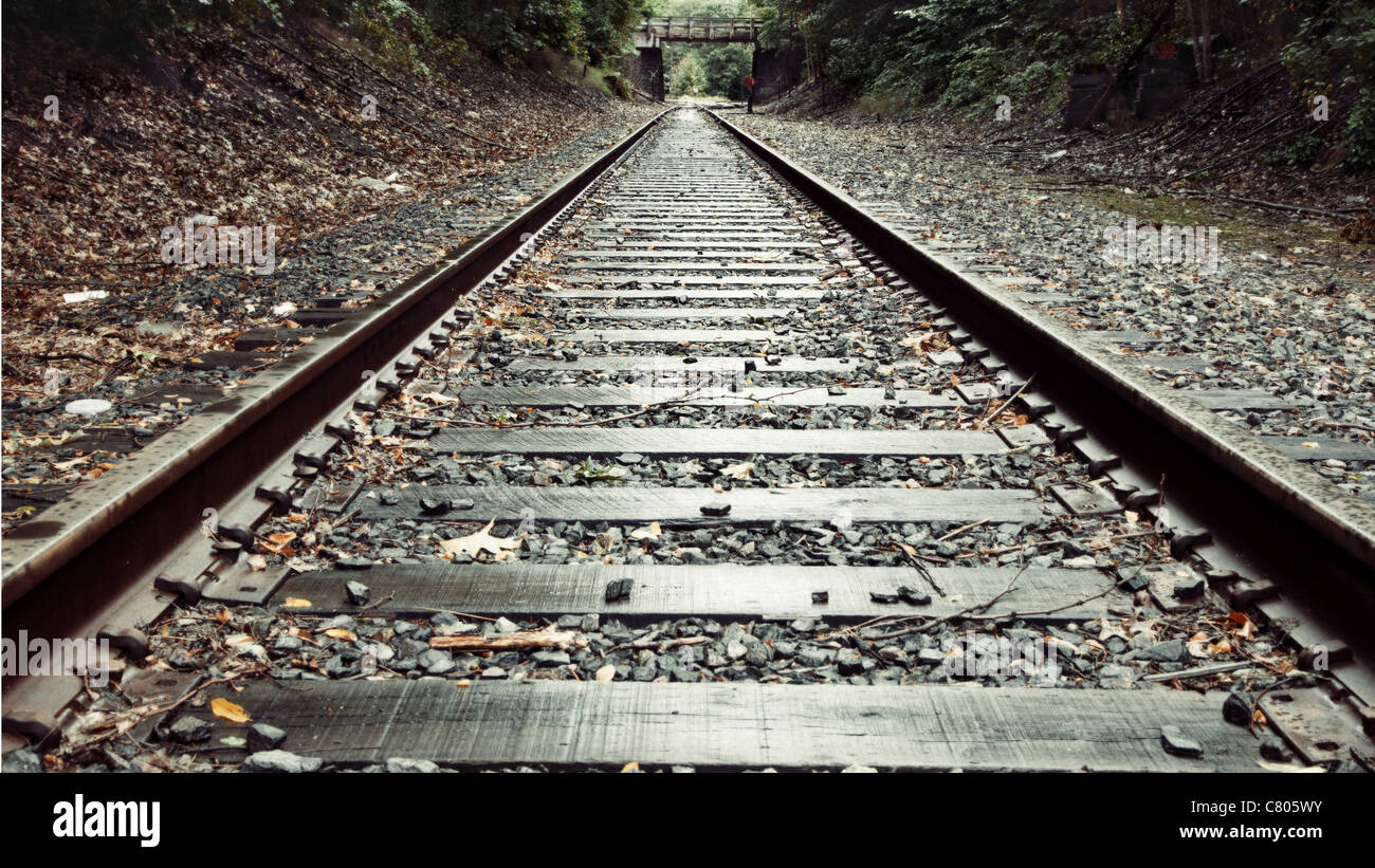 Low angle of railroad tracks Stock Photo - Alamy