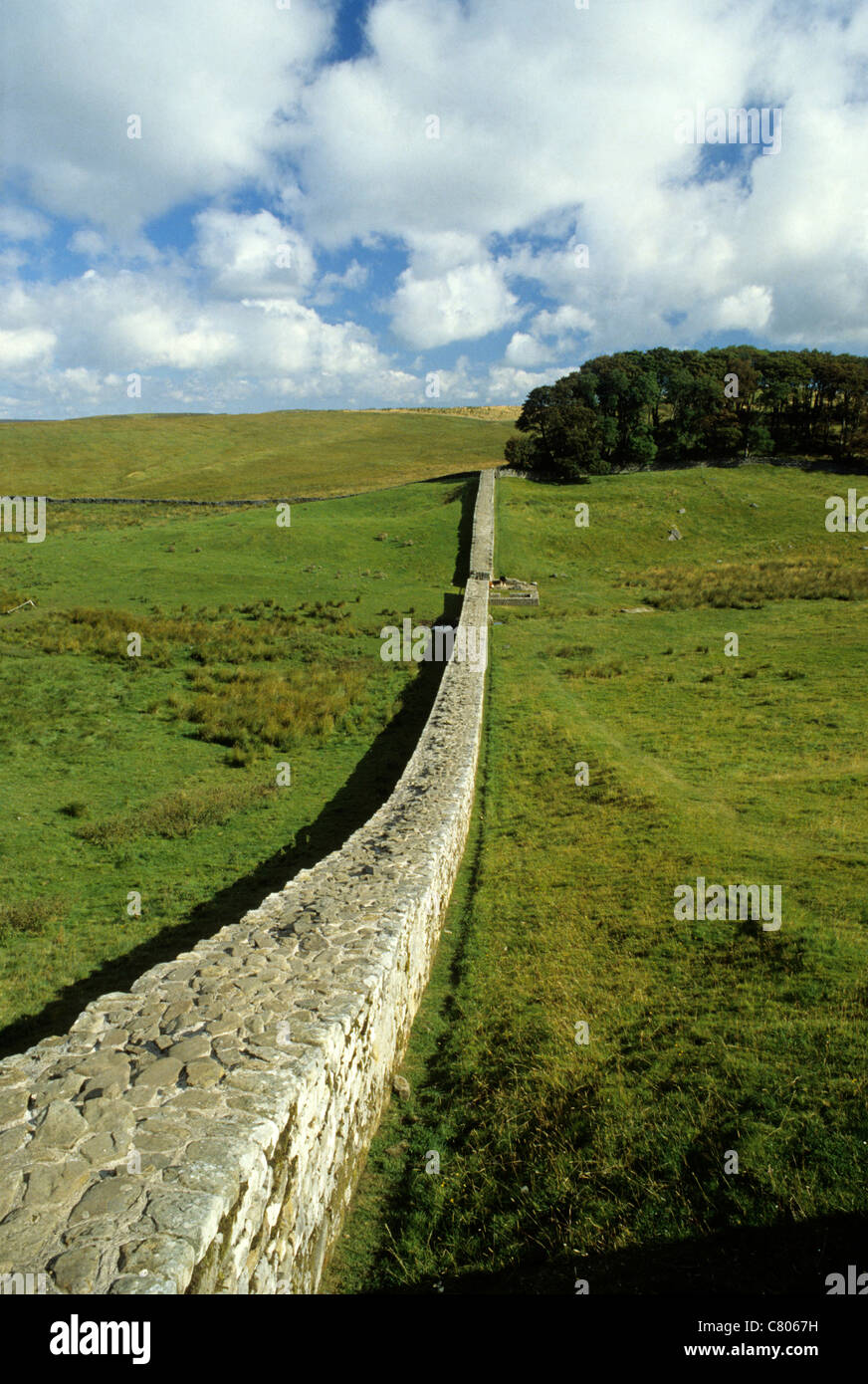 S roman hi-res stock photography and images - Alamy