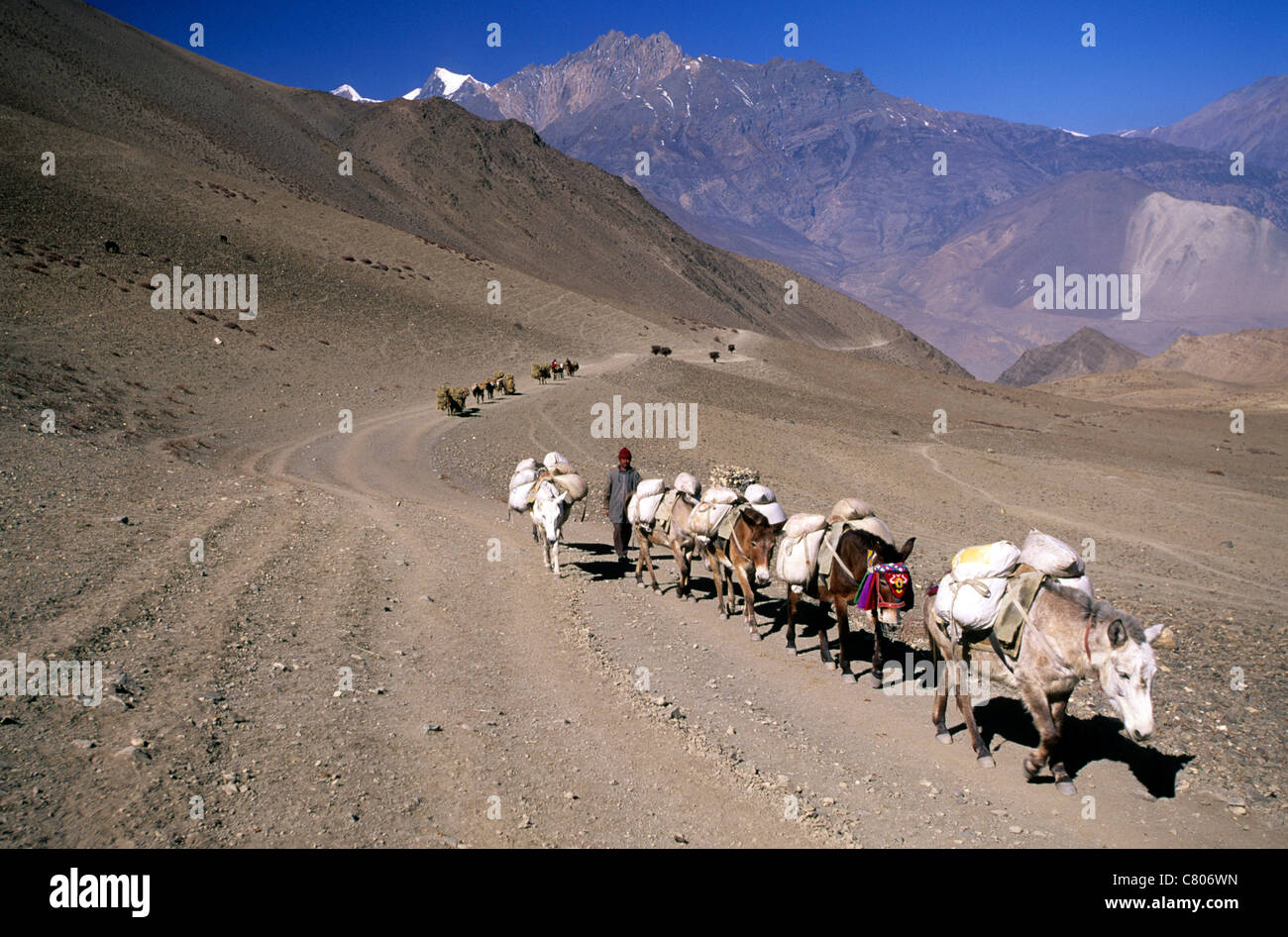 Jomson trail hi-res stock photography and images - Alamy