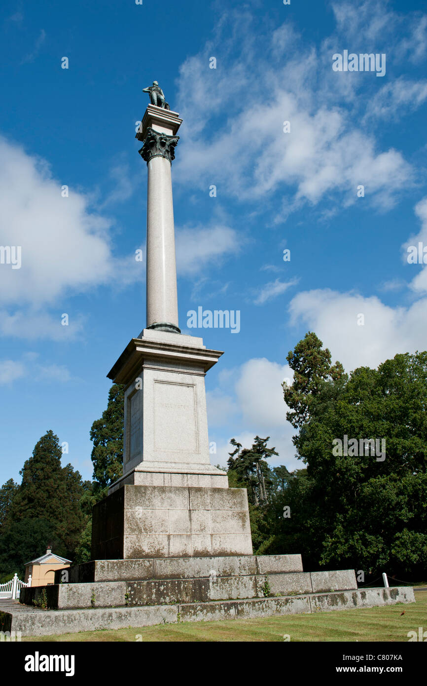 Duke of Wellington Country Park Commemorative Column Stock Photo - Alamy
