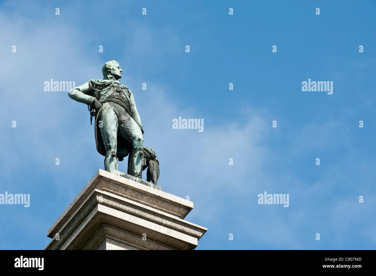 Duke of Wellington Country Park Commemorative Column Stock Photo - Alamy