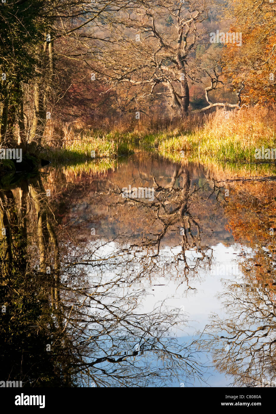Autumn scene on the Cromford Canal near Matlock Bath in the Derbyshire ...