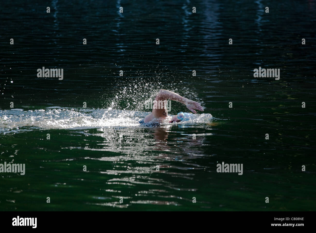 Female swimmer competing in a 5km open water swimming race in Thetis ...