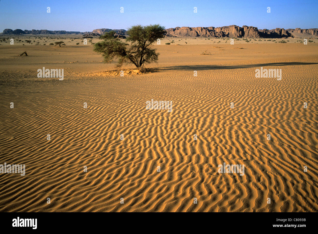 Africa, Chad, Ennedi massif Stock Photo - Alamy