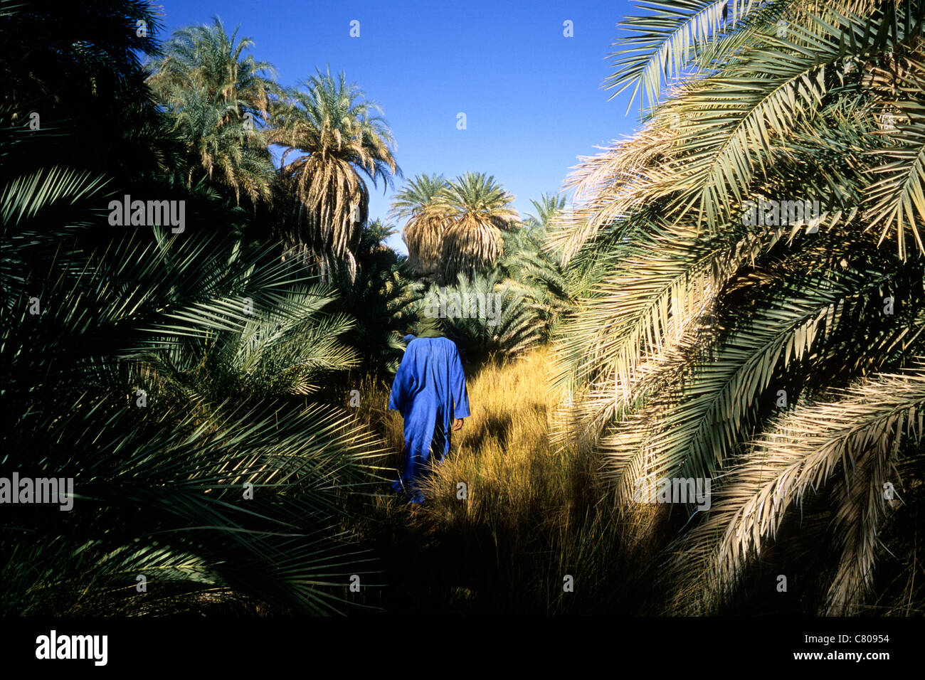 People of lake chad hi-res stock photography and images - Alamy