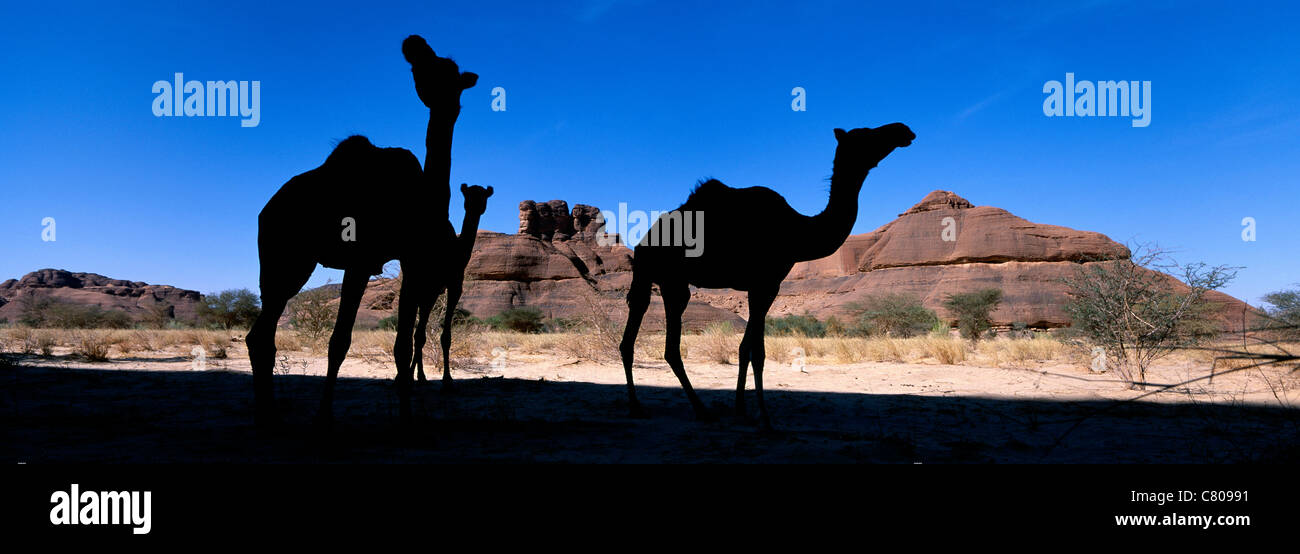 Ennedi hi-res stock photography and images - Alamy