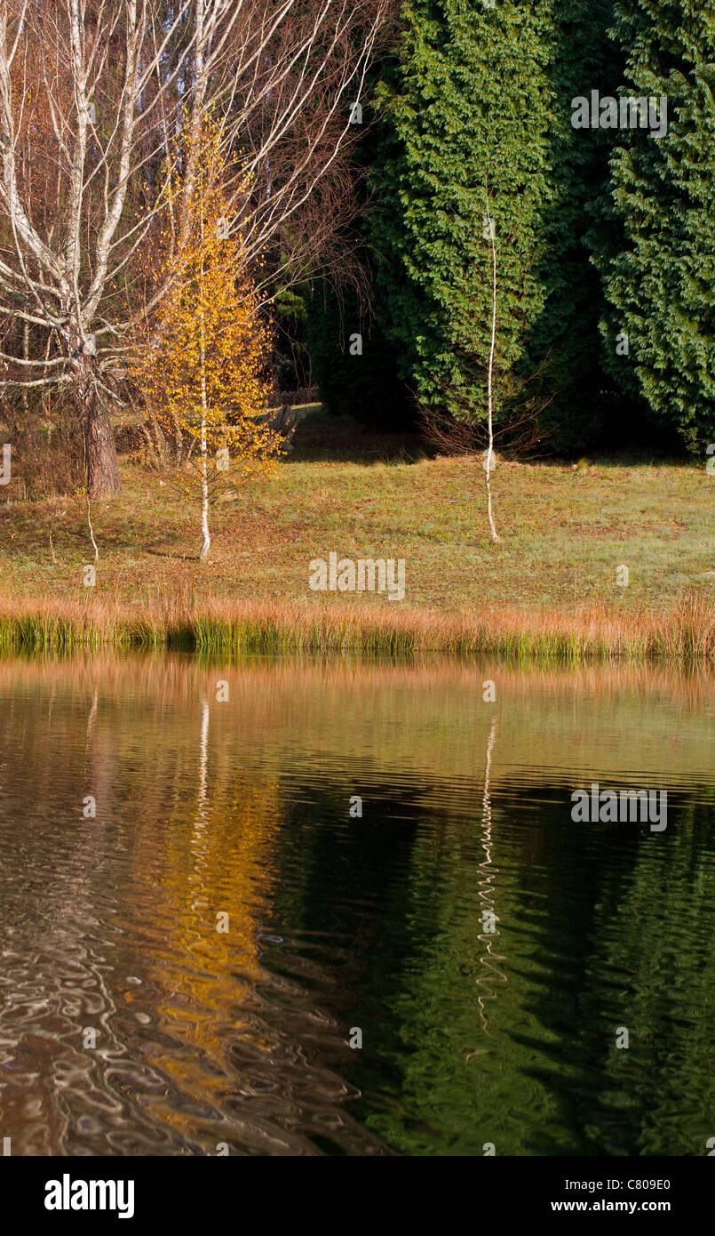Autumn colors and lake Stock Photo - Alamy