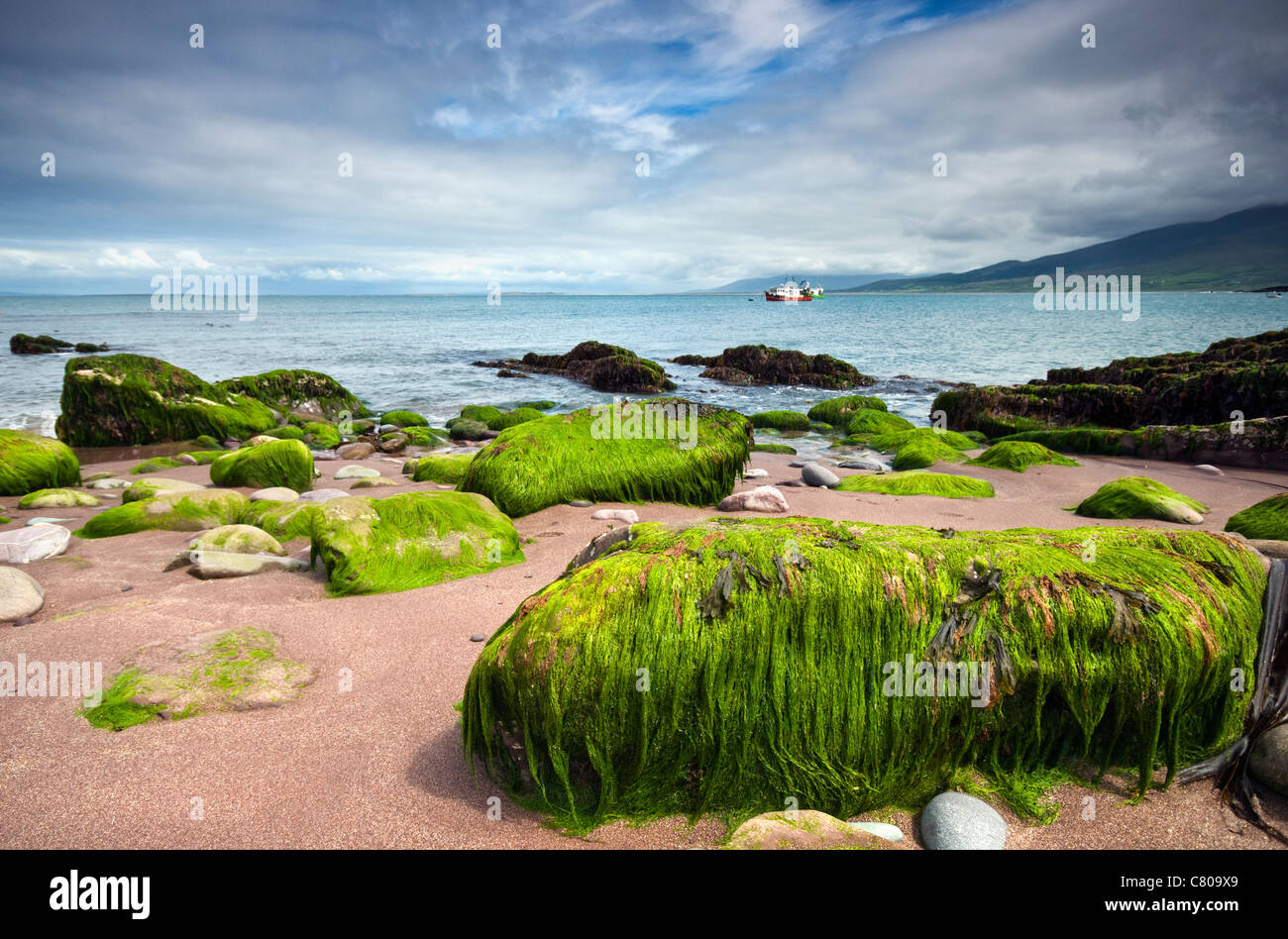 The beach at Brandon Bay on the Dingle Peninsula, County Kerry, Ireland ...