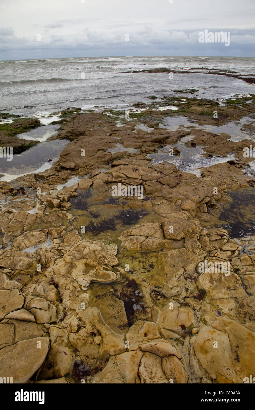 Tide pools hi-res stock photography and images - Alamy
