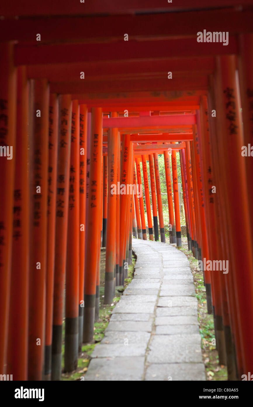 Torii covered path, Tokyo Stock Photo - Alamy