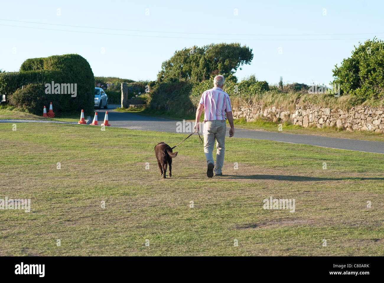 England, UK - Man walking his dog Stock Photo - Alamy
