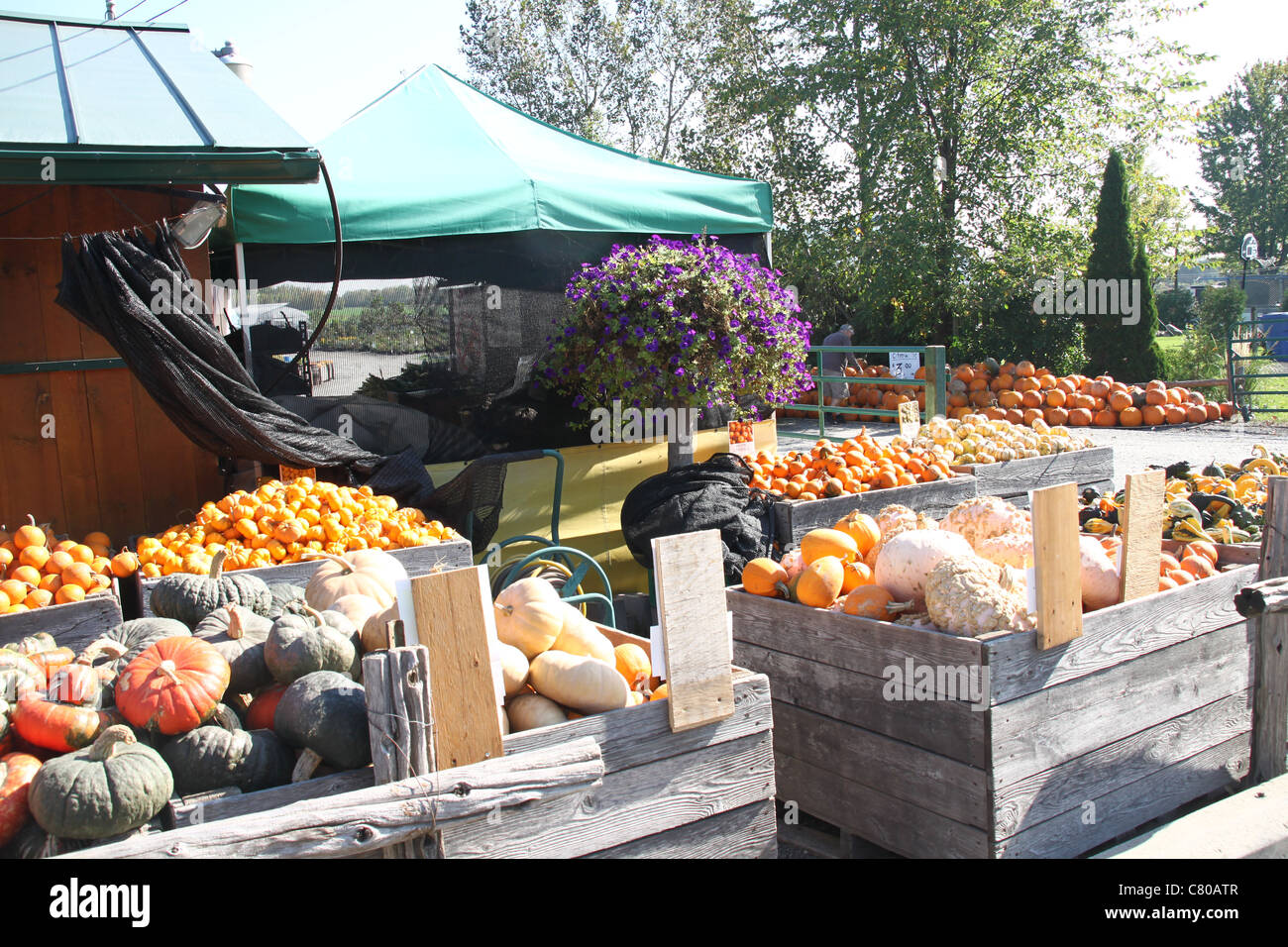 Farmer quebec hi-res stock photography and images - Alamy