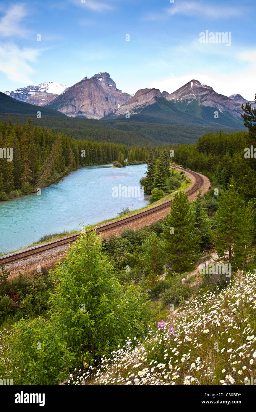 A summer morning by the Bow River in Banff National Park, Alberta ...