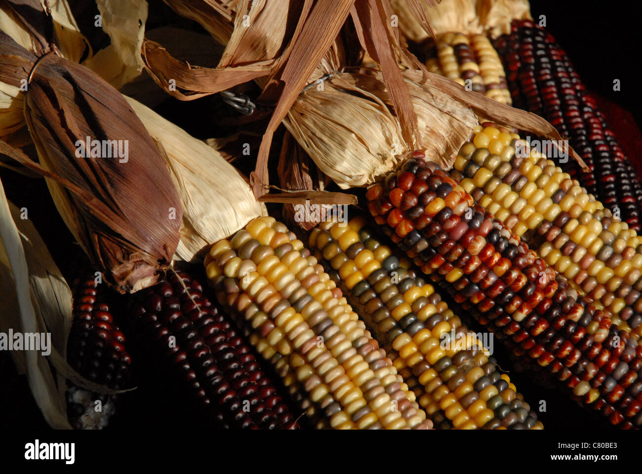 Indian seasons hi-res stock photography and images - Alamy