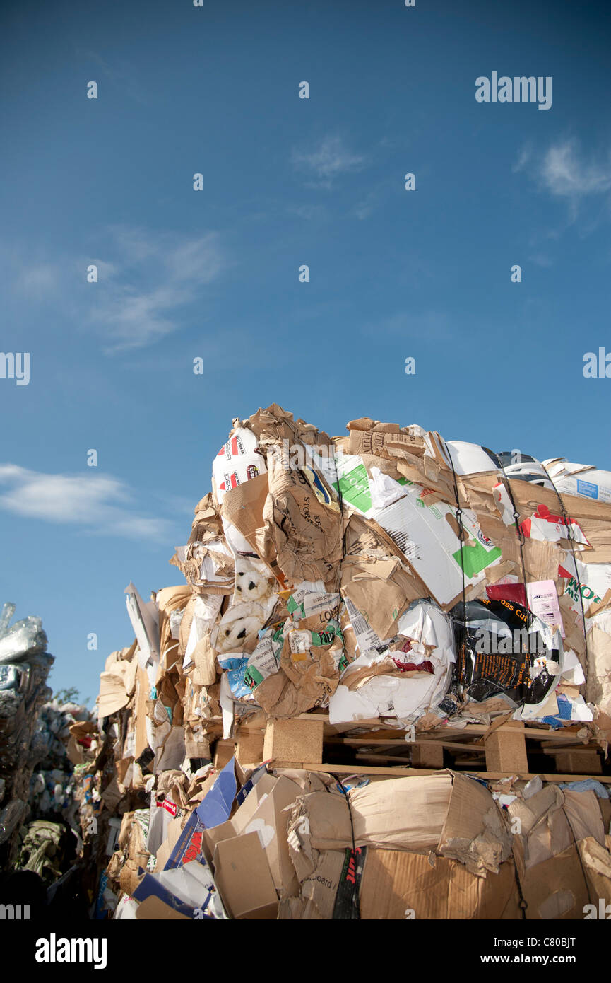 Bales compacted waste cardboard awaiting hi-res stock photography and ...