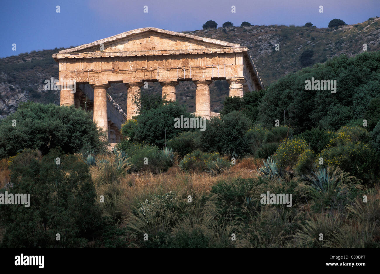 Italy, Sicily, Segesta: Greek Temple ruins Stock Photo - Alamy