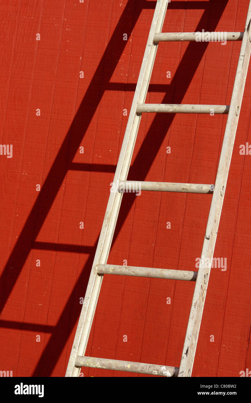 Rural Scene of a White Ladder Leaning Against a Red Wall Copy Space ...