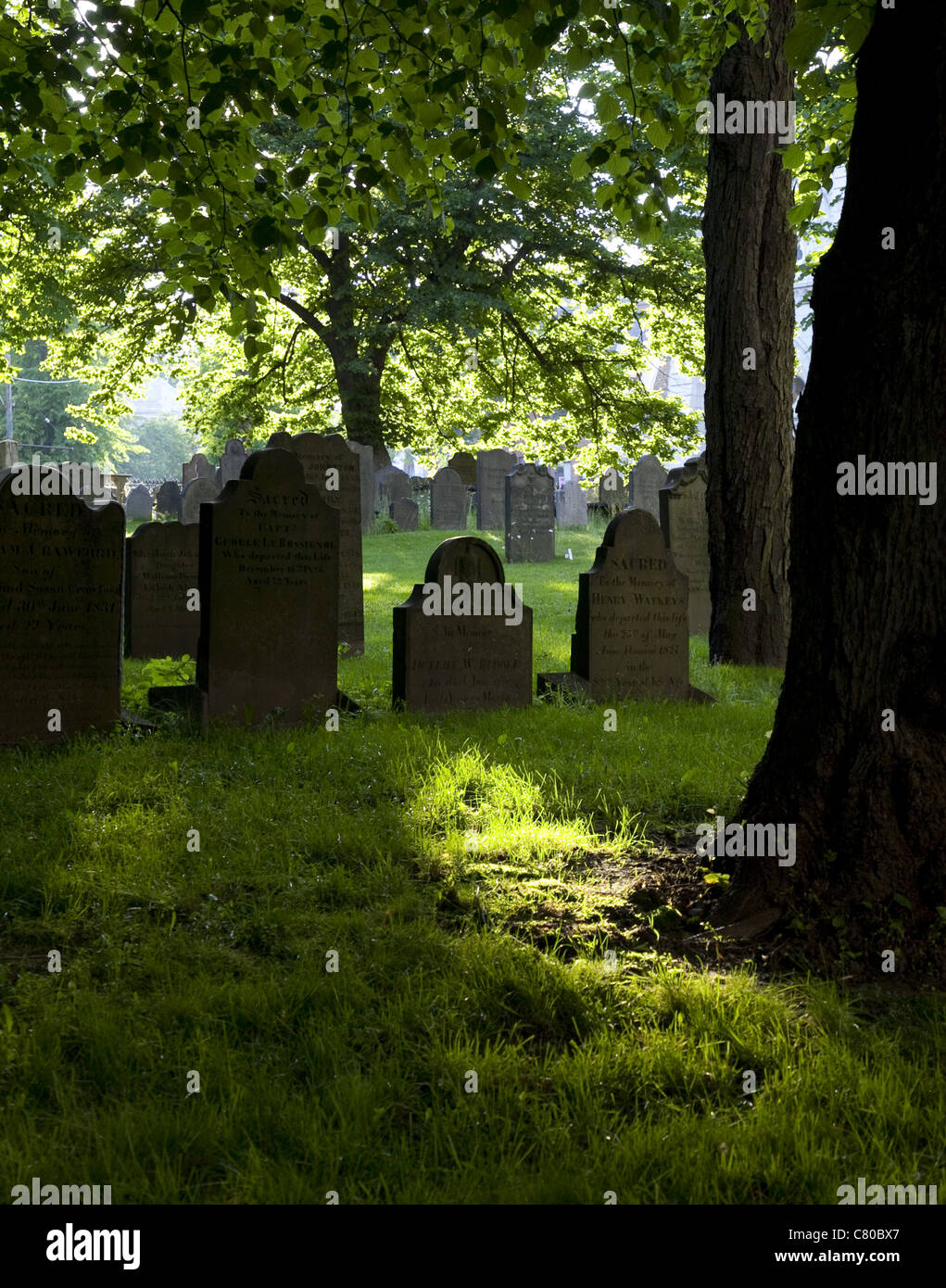 Cemetery Headstones in evening light. Shadows, green grass, spring ...