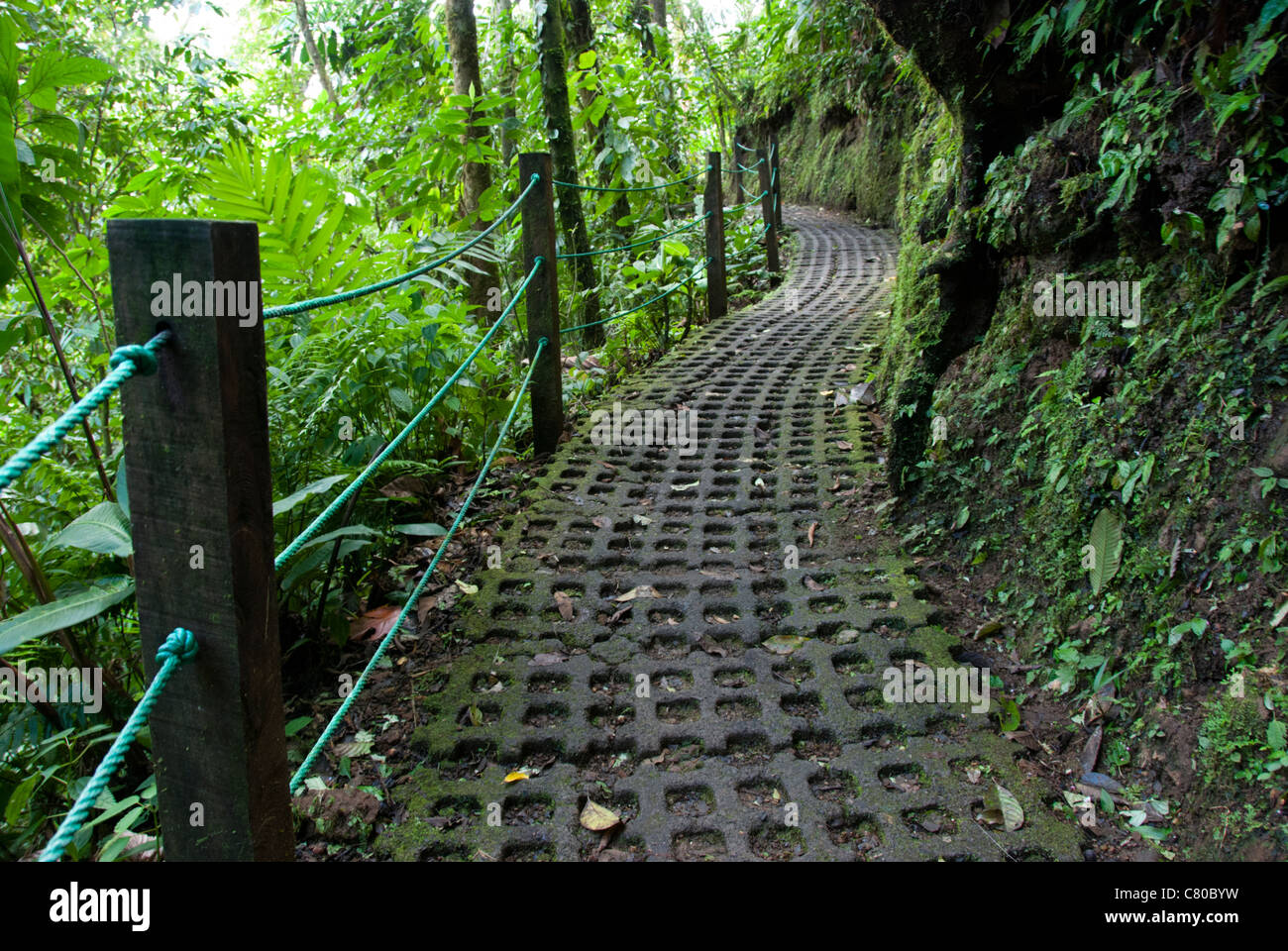 Arenal hanging bridge park, rain forest protected area,close to Arenal ...