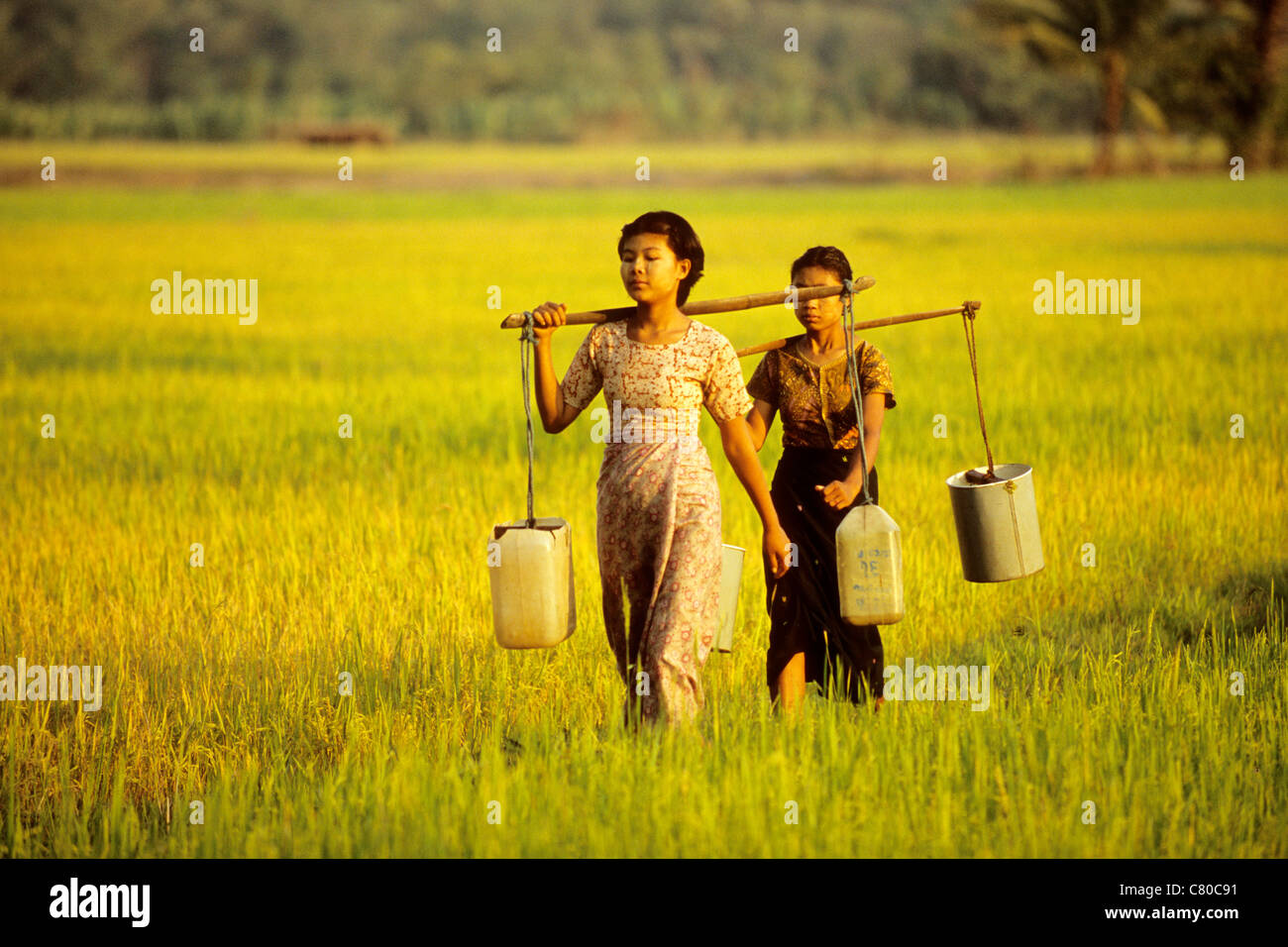 Burma, Myanmar, Irrawaddy (Ayeyarwady) Delta, young farmers Stock Photo ...