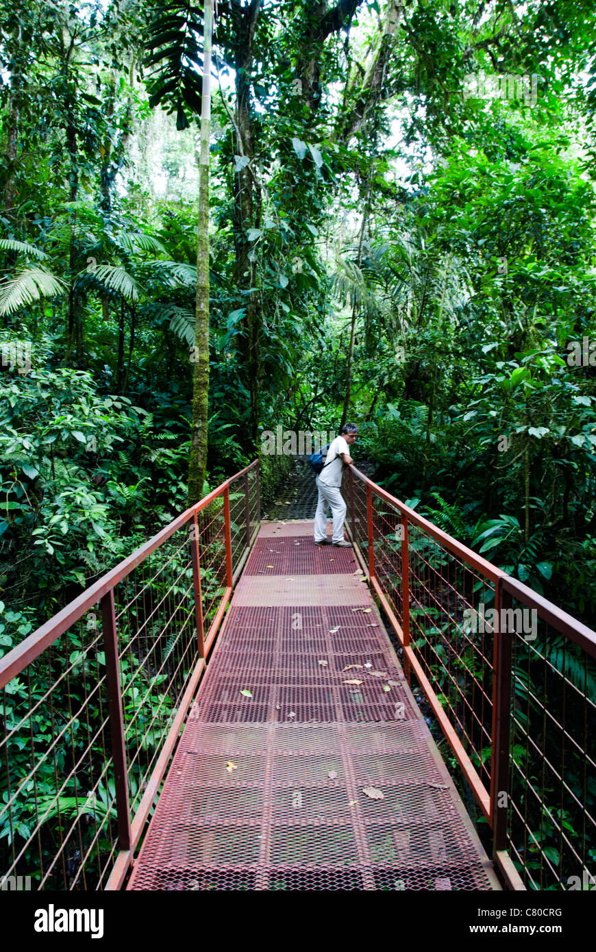 Arenal hanging bridge park, rain forest protected area,close to Arenal ...