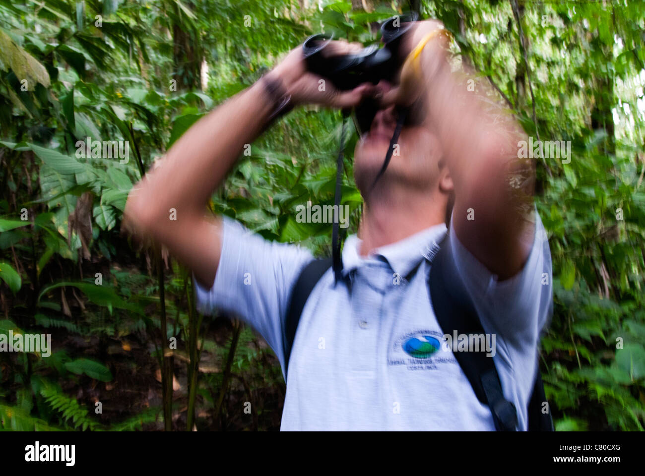 Wild animal watching in a rain forest protected area,close to Arenal ...