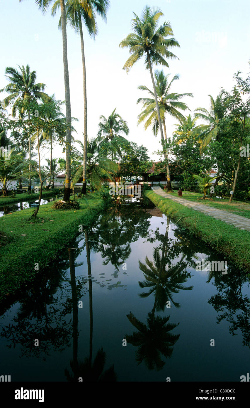 India, Kerala, backwaters, Cocunut lagoon Stock Photo - Alamy