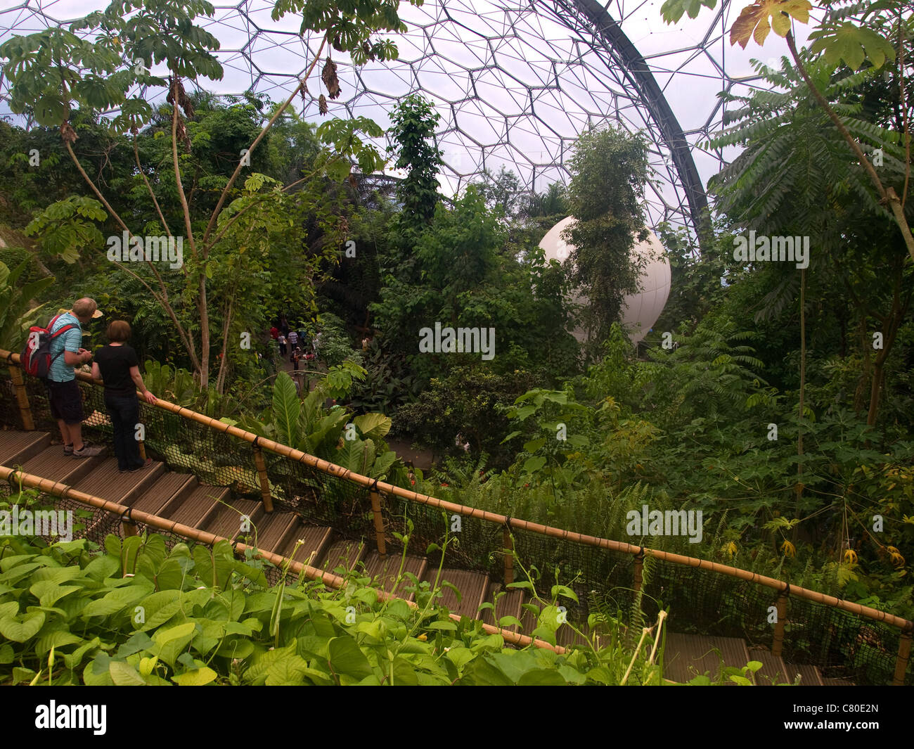 Pathway through the Rainforest Biome at the Eden Project Cornwall ...