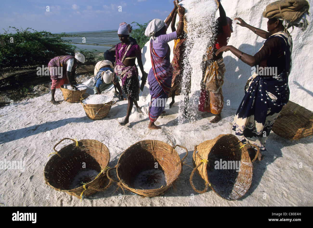 Indigenous tamil people hi-res stock photography and images - Alamy