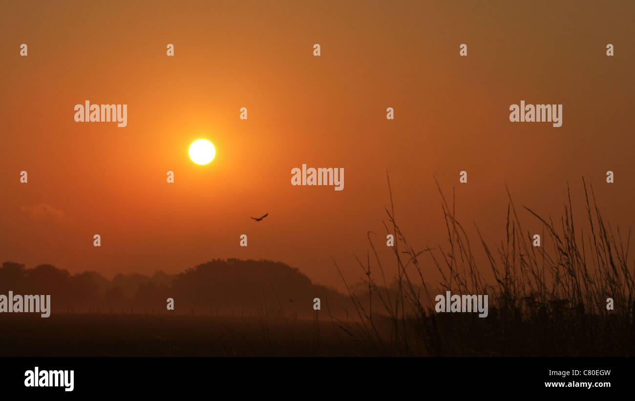 Dawn skies hi-res stock photography and images - Alamy