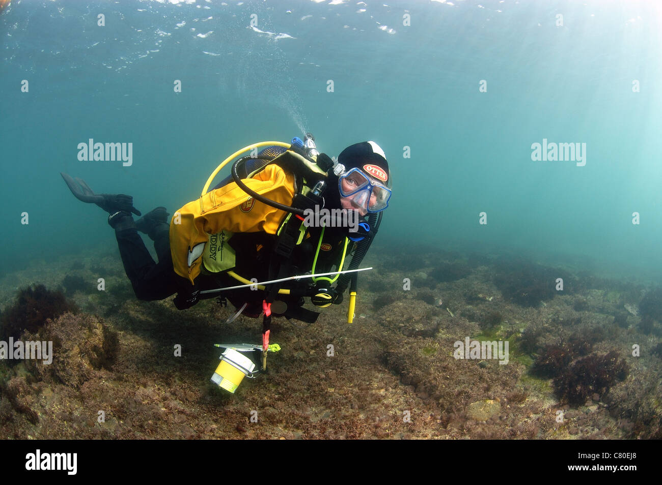 Underwater survey hi-res stock photography and images - Alamy