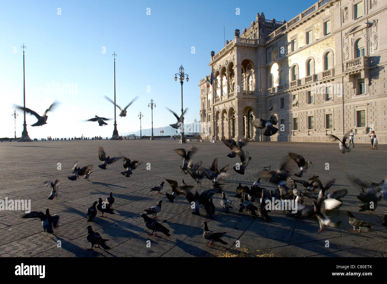 Sq pigeons hi-res stock photography and images - Alamy