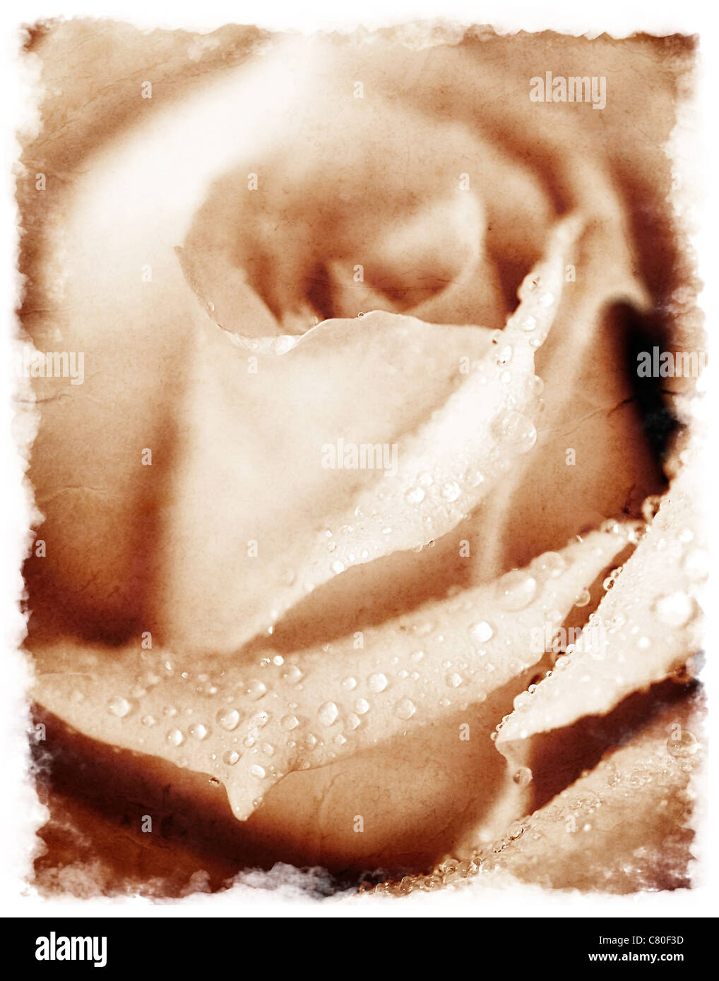 Beautiful grunge hi-res stock photography and images - Alamy