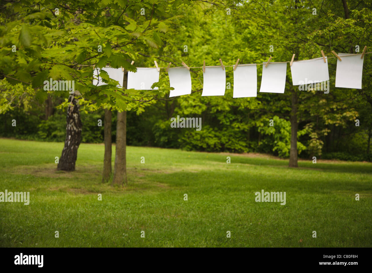 blank paper sheet hanging on a rope outdoor Stock Photo - Alamy