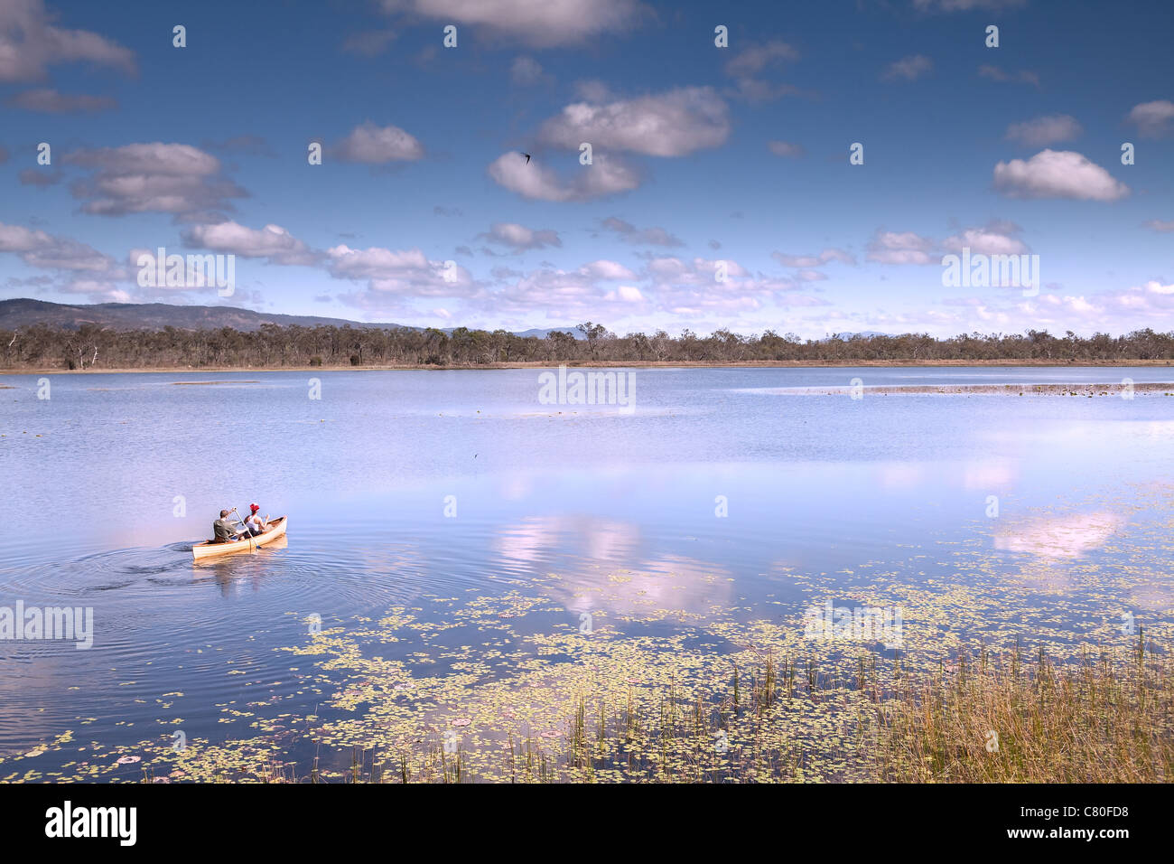 Mareeba wetlands hi-res stock photography and images - Alamy