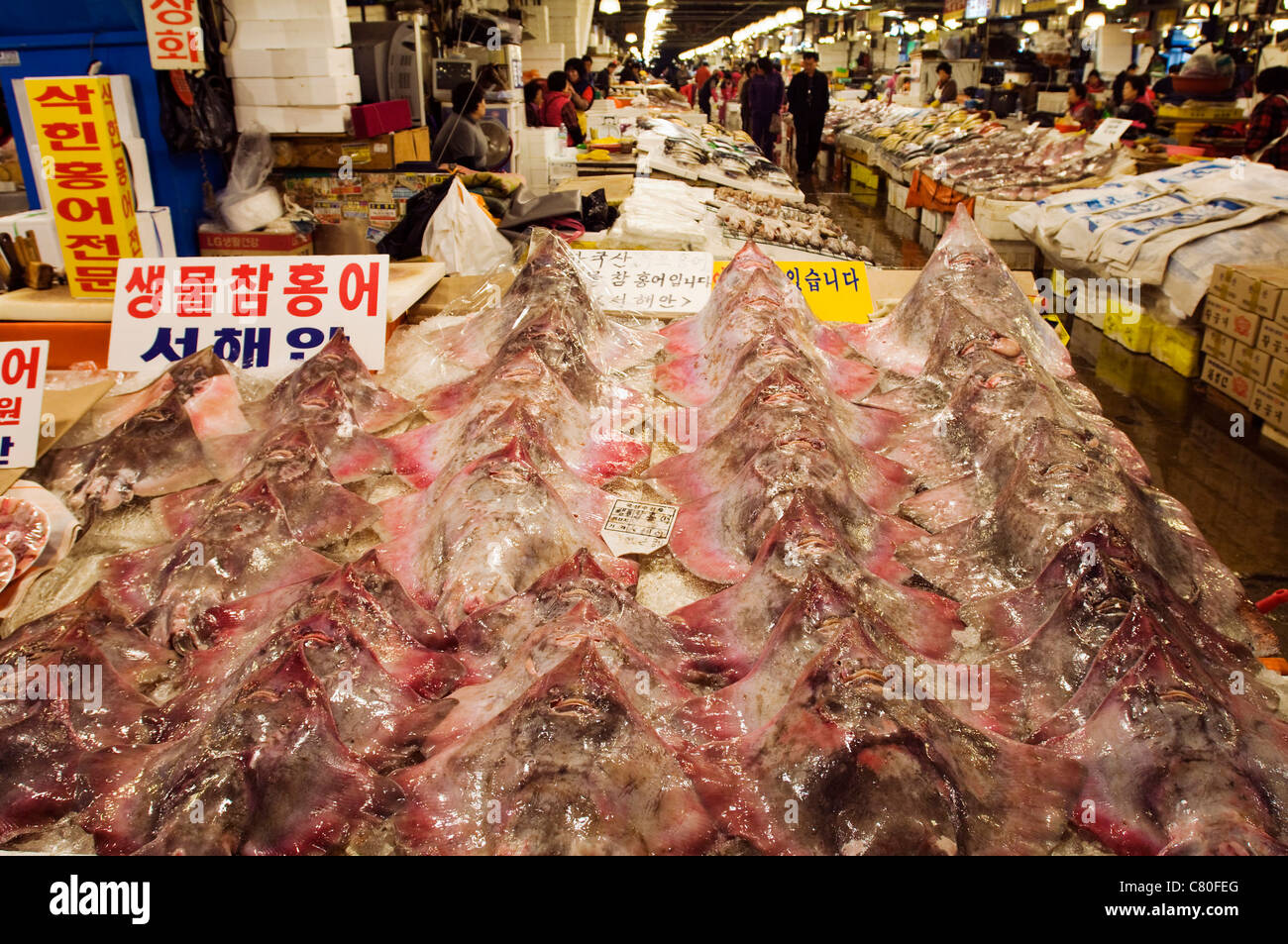 South Korea, Seoul, the Noryangjin fish market Stock Photo - Alamy